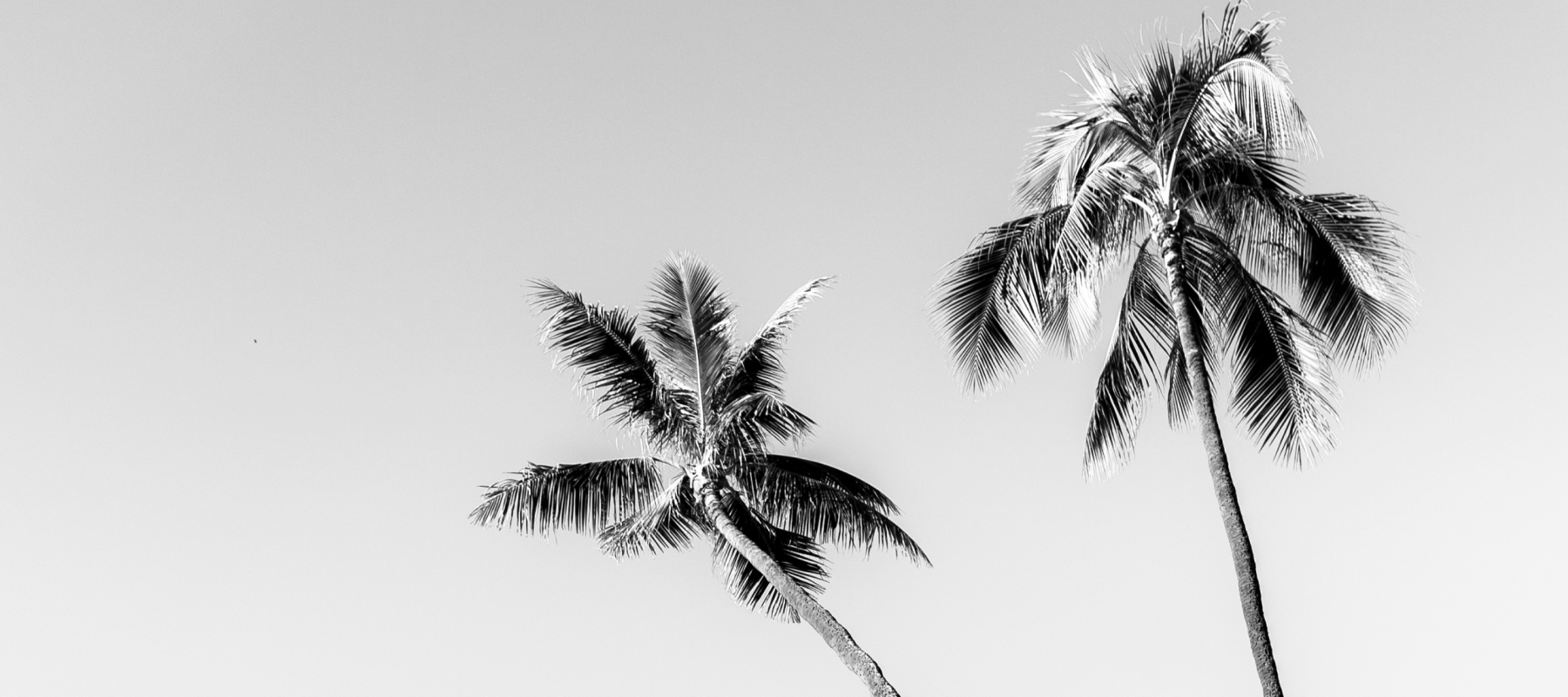 Ron Herman | Since 1976